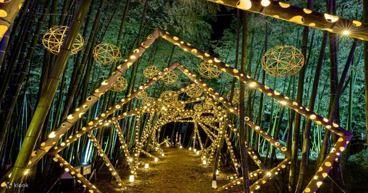 Kumamoto Lux Night 2025 & Reigando Cave with Higo Akaushi Beef - Klook